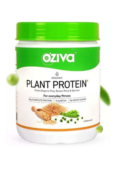7 Best Budget Protein Powders Under ₹500 in India | Smytten
